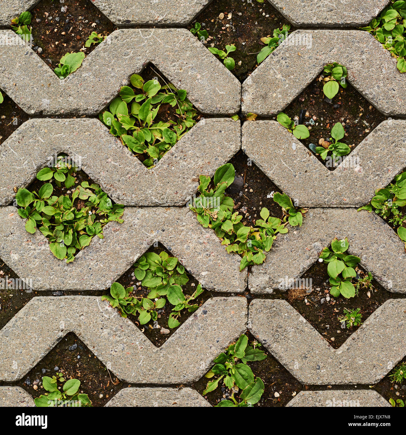 Earth ground covered with tiles Stock Photo - Alamy