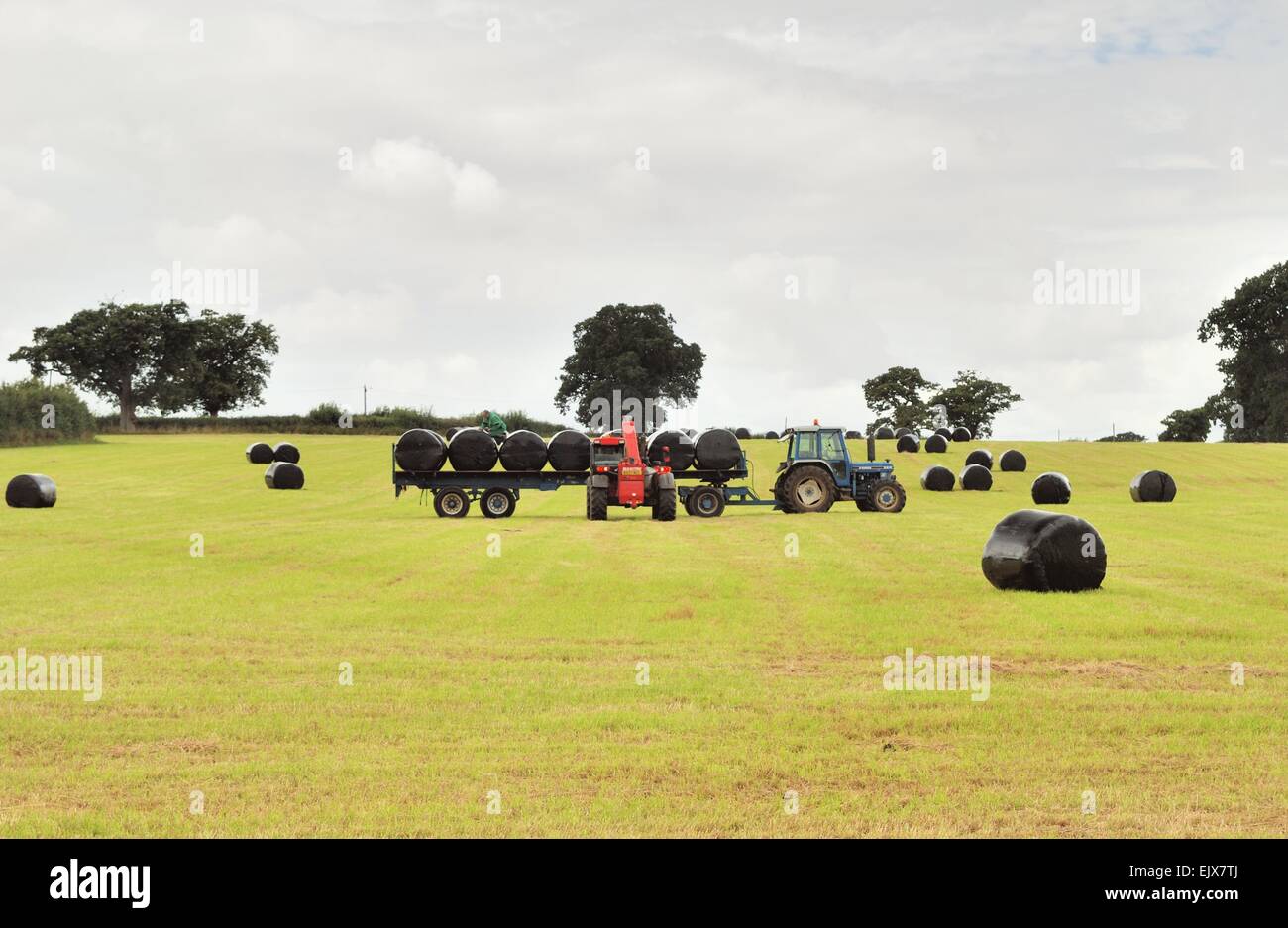Stacking Hay Stock Photos & Stacking Hay Stock Images - Alamy