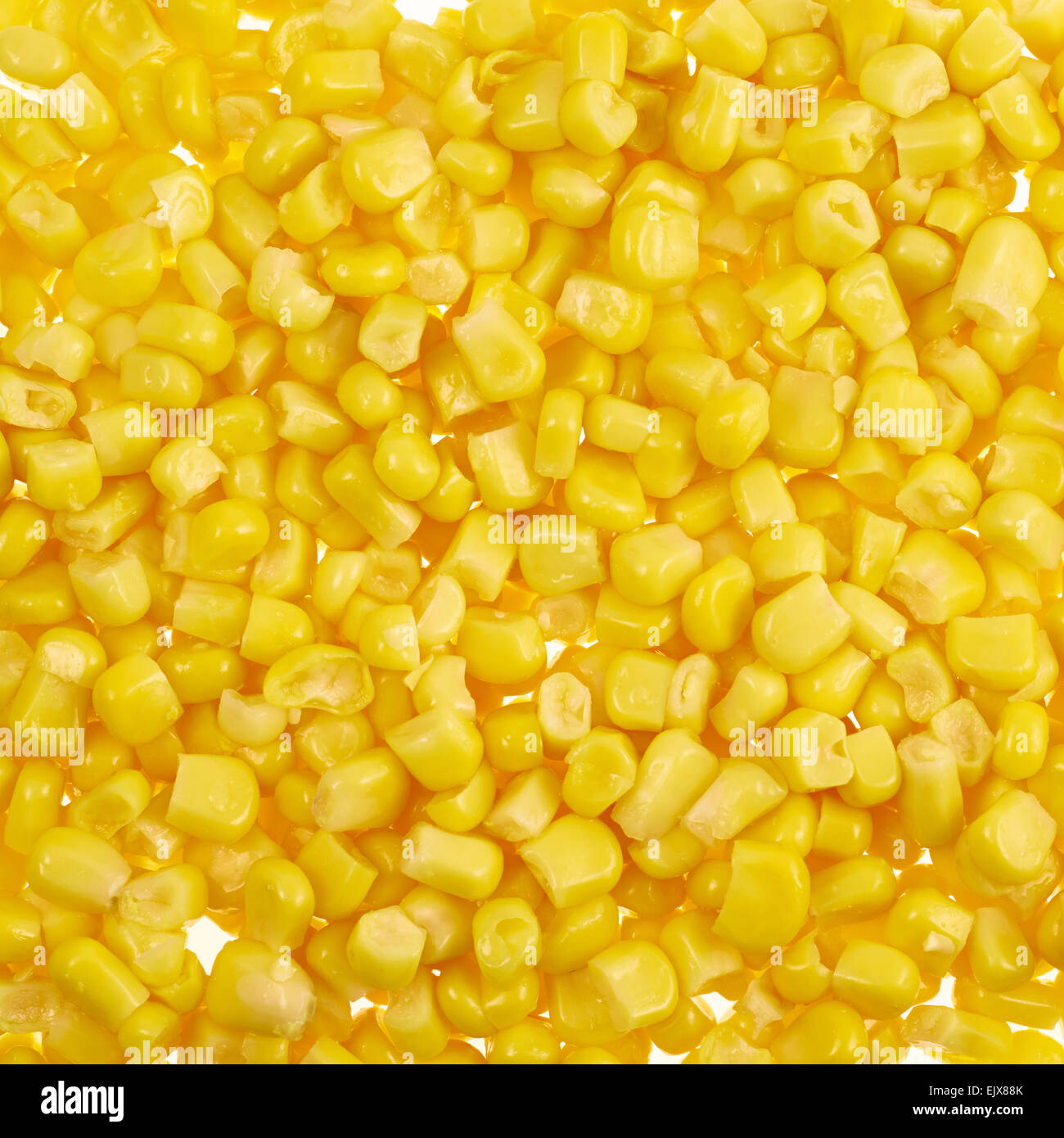Surface covered with corn kernels Stock Photo - Alamy