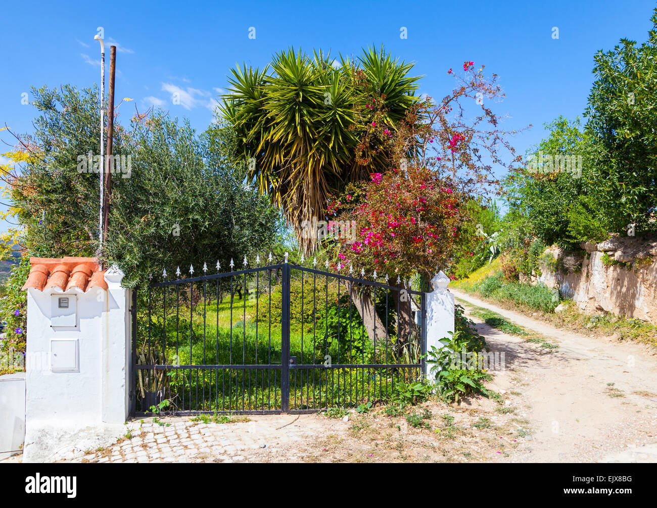 Entrance gate palm trees hi-res stock photography and images - Alamy