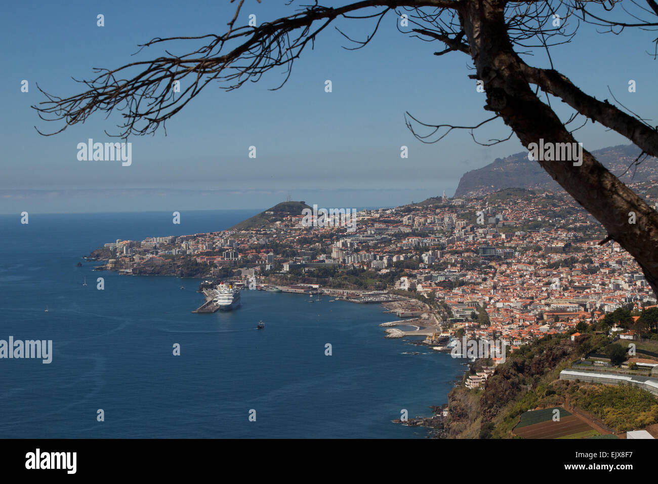 Port of Funchal, Madeira Stock Photo - Alamy