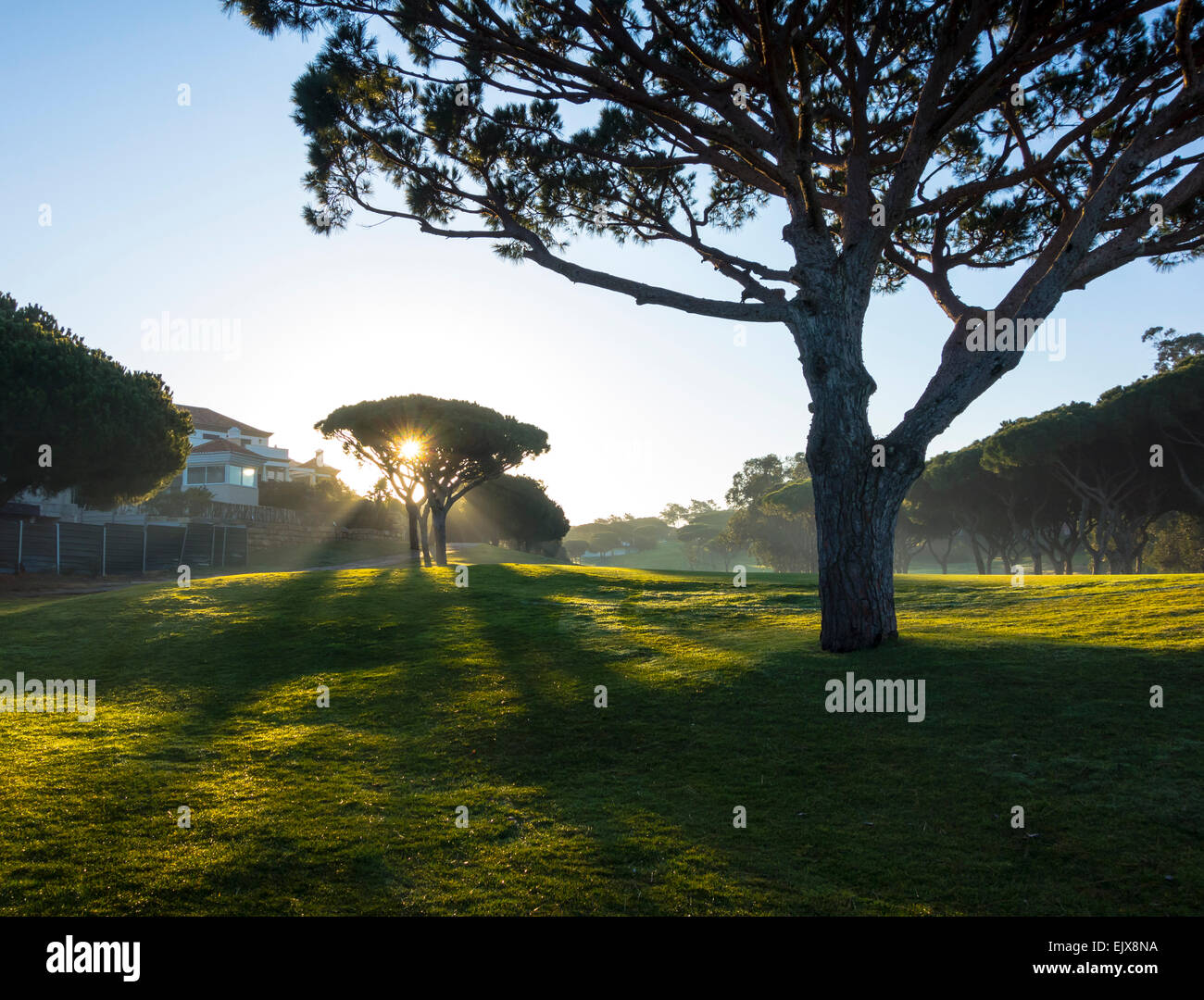 Early morning sunshine Stock Photo - Alamy