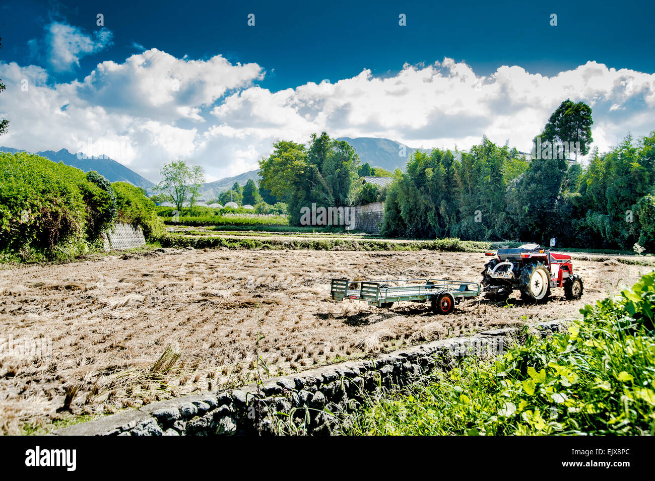 autumn countryside landscape in Japan Stock Photo - Alamy