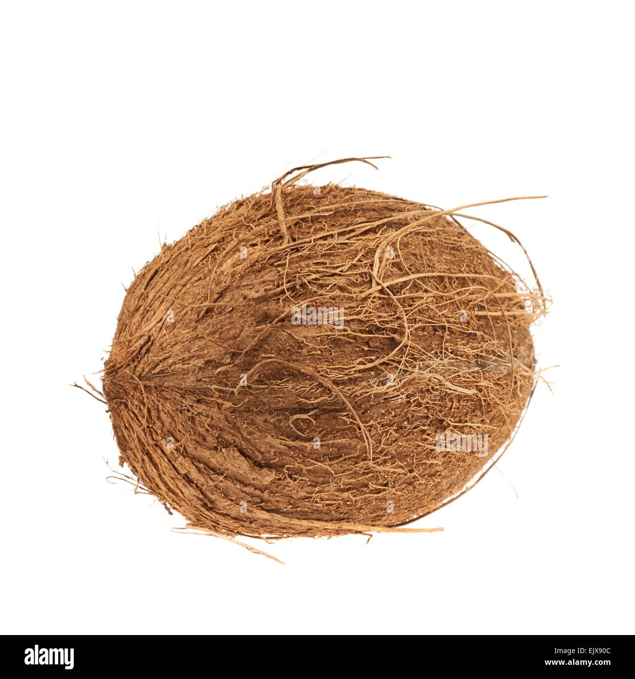 Whole coconut fruit isolated Stock Photo - Alamy