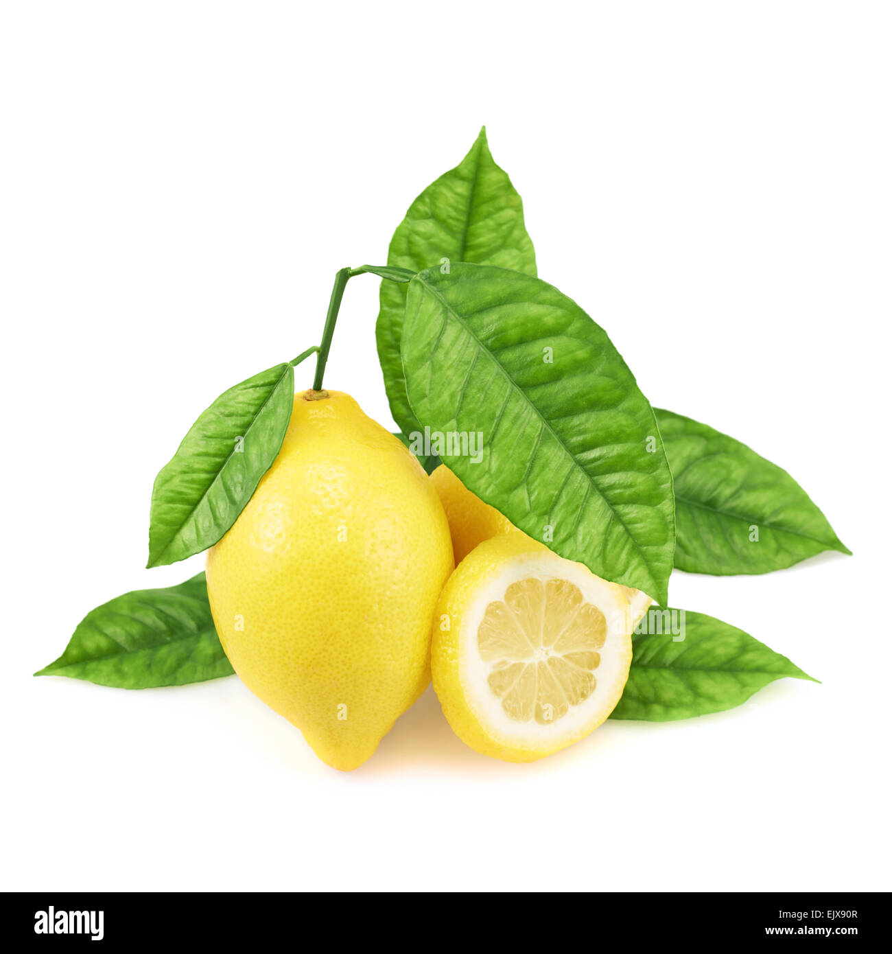 Lemon leaves composition set Cut Out Stock Images & Pictures - Alamy