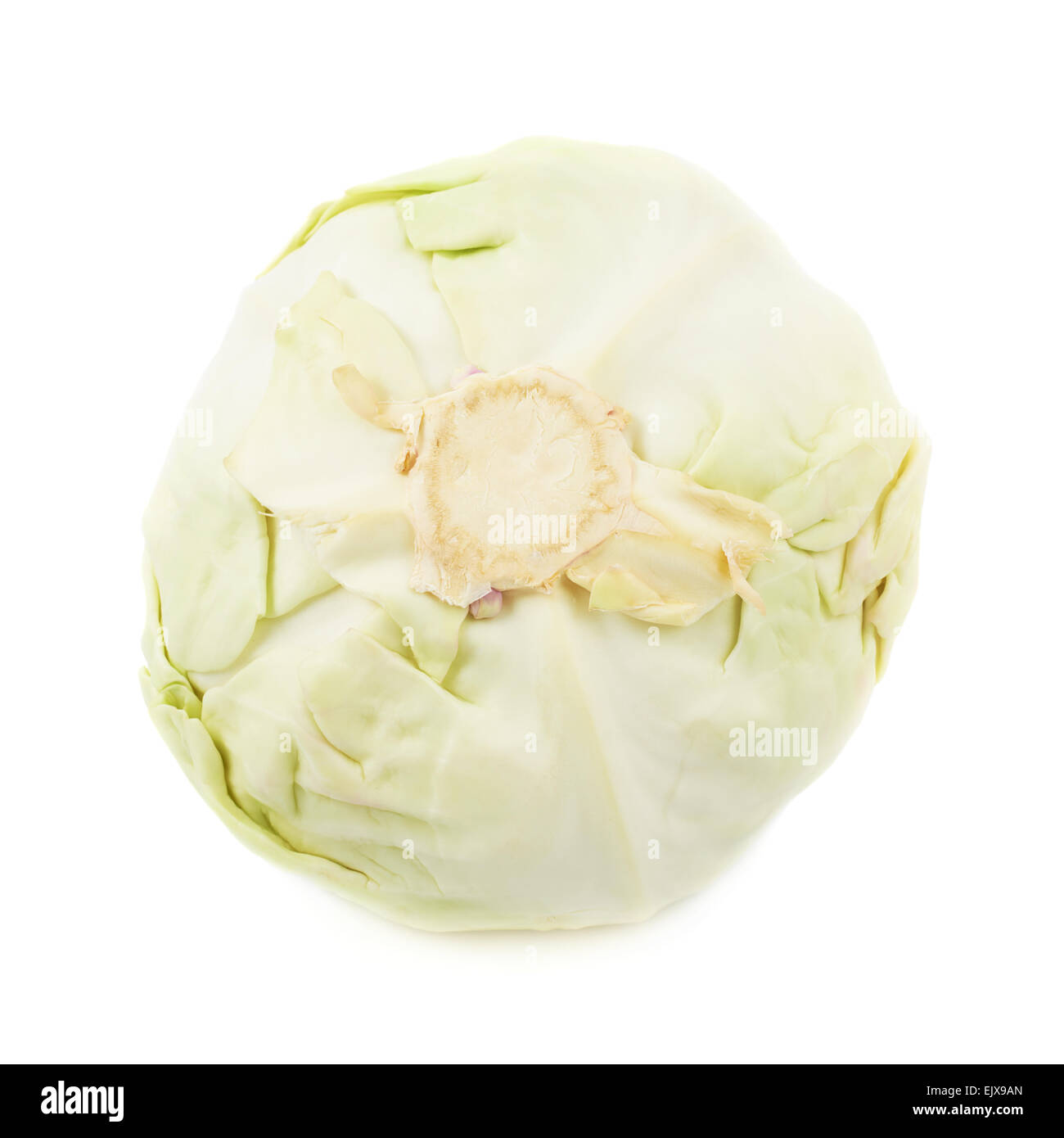 White cabbage isolated Stock Photo - Alamy