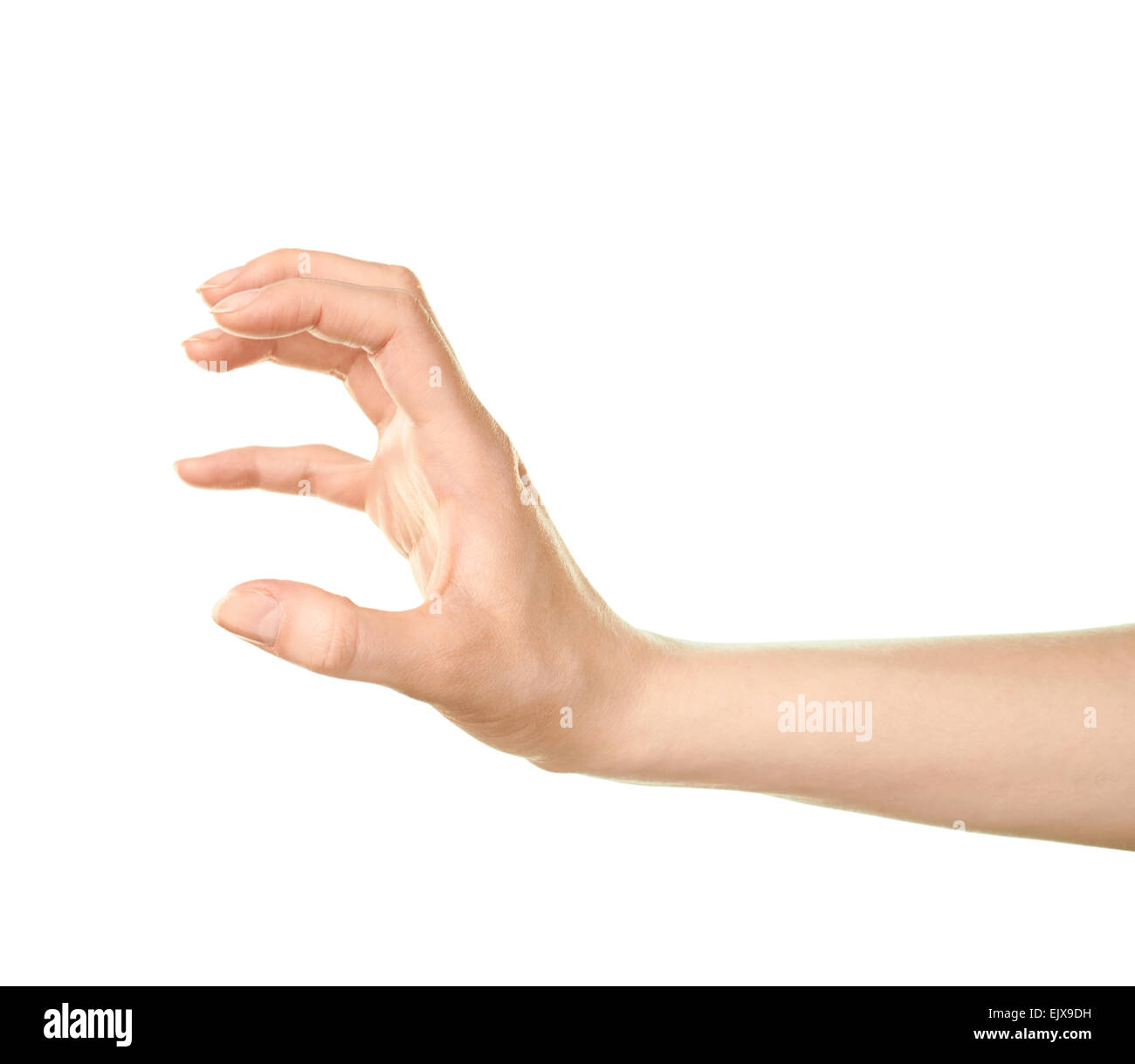 Right hand showing palm studio hi-res stock photography and images - Alamy