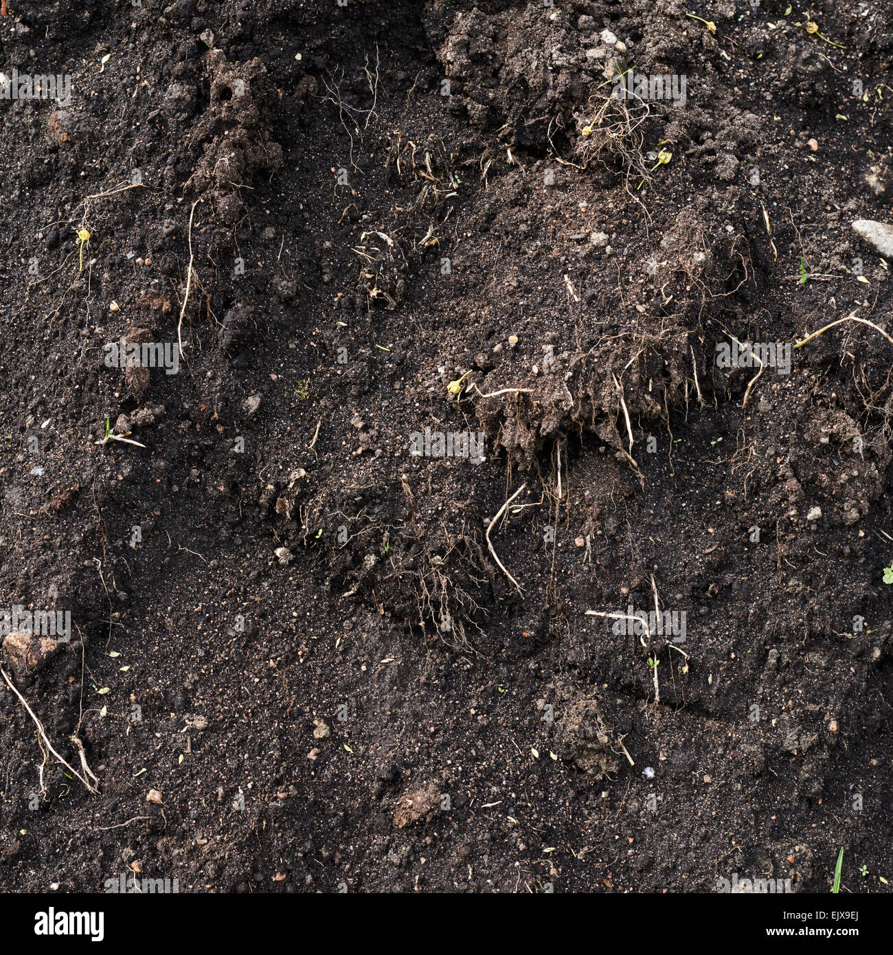 Fragment of an earth soil texture Stock Photo - Alamy