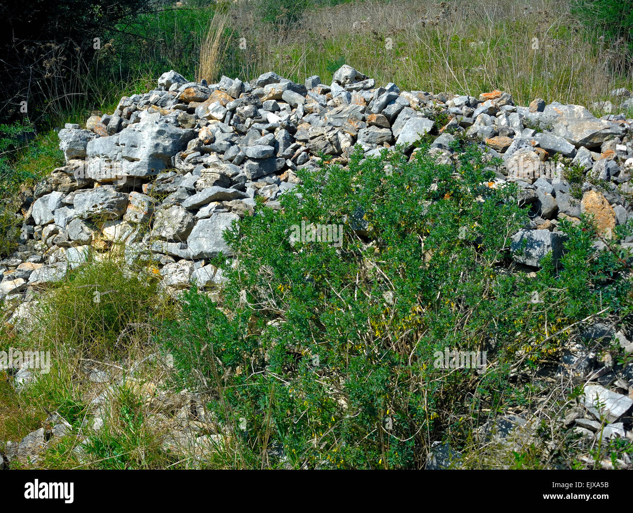 Beautiful rural landscape with some rocks, Apulia. Italy Stock Photo ...