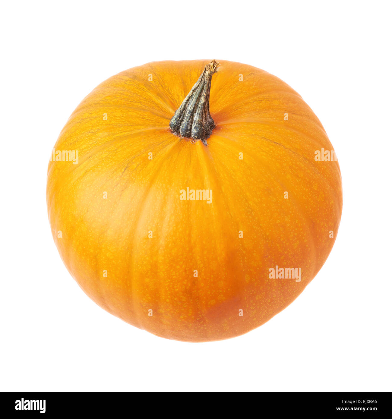 Orange pumpkin isolated Stock Photo - Alamy