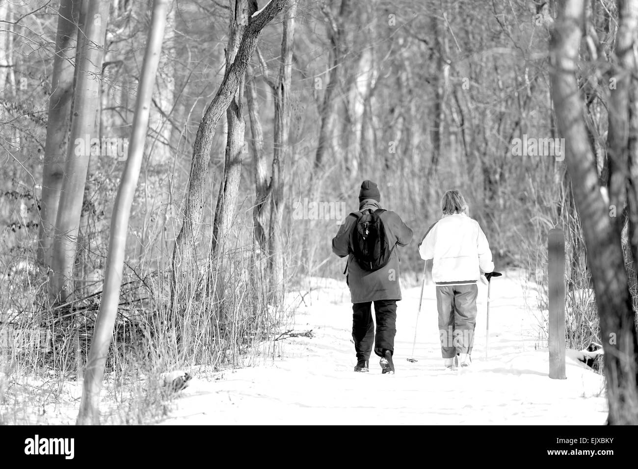 Exterior forest Black and White Stock Photos & Images - Alamy