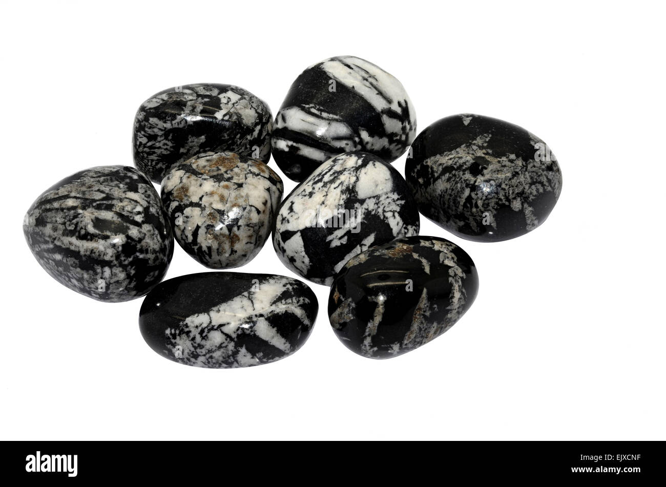 Chrysanthemum stone hi-res stock photography and images - Alamy