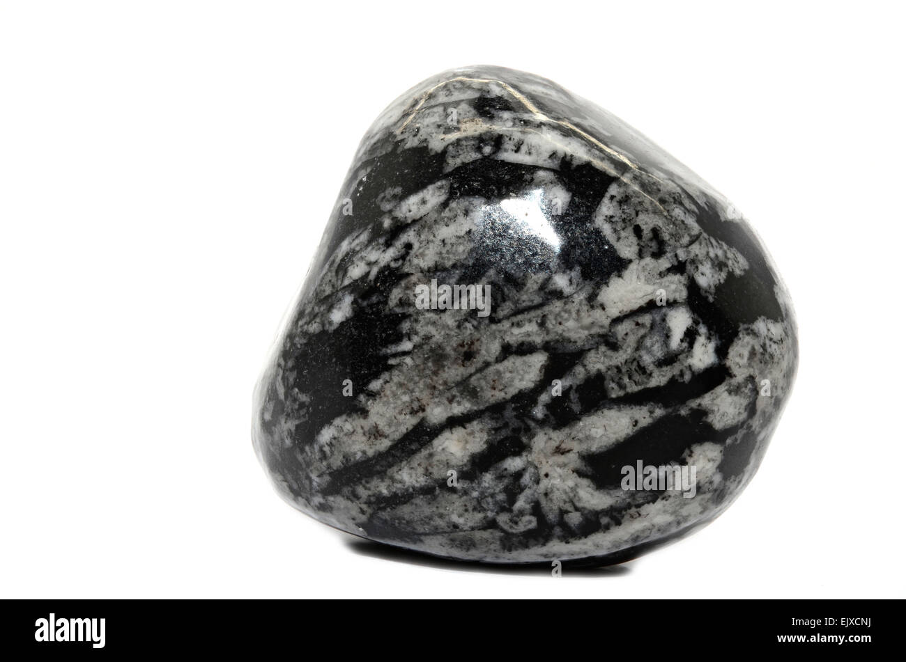 Macro pink chrysanthemum Cut Out Stock Images & Pictures - Alamy