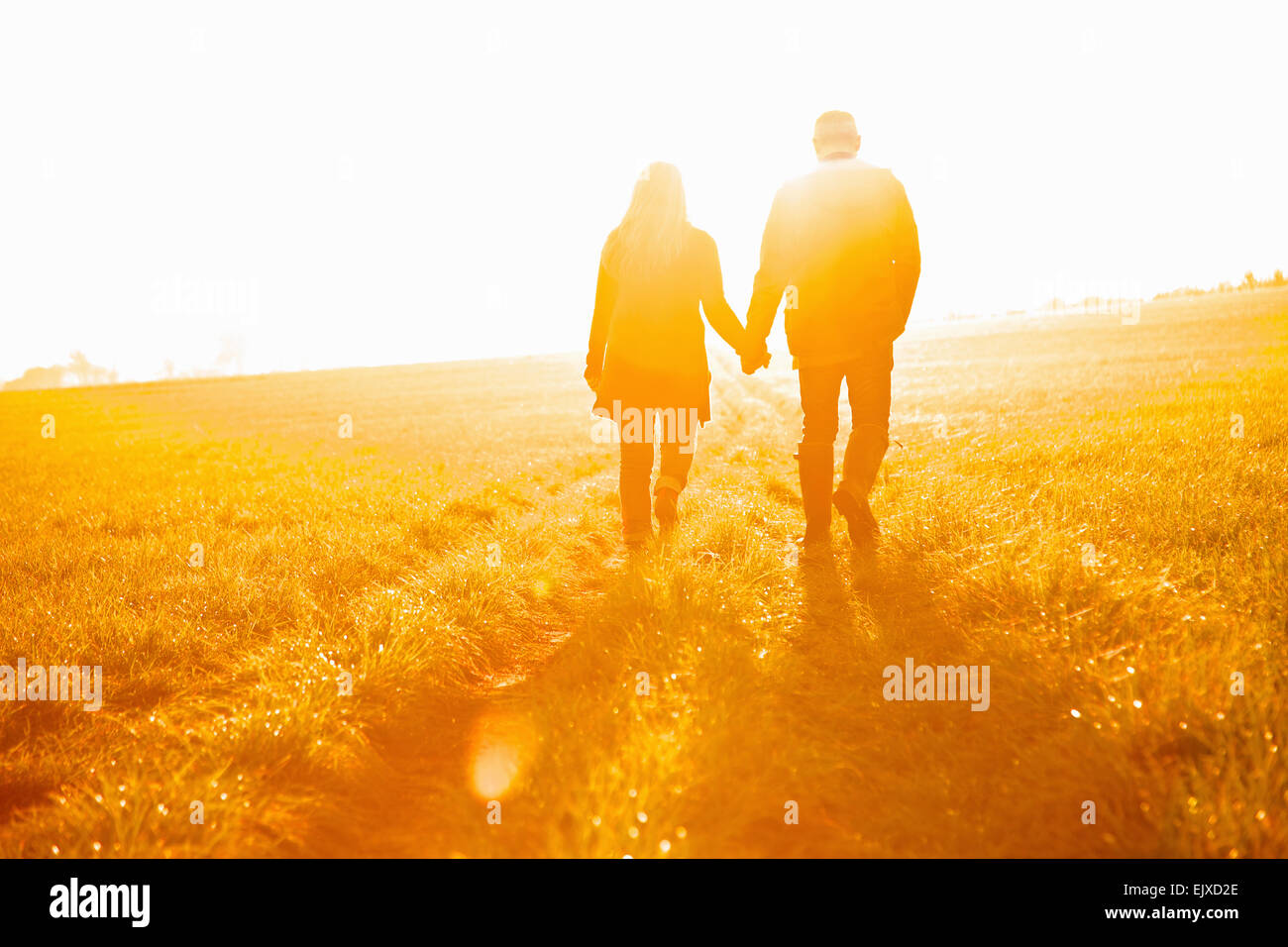 Man Walking Field Behind High Resolution Stock Photography and Images ...
