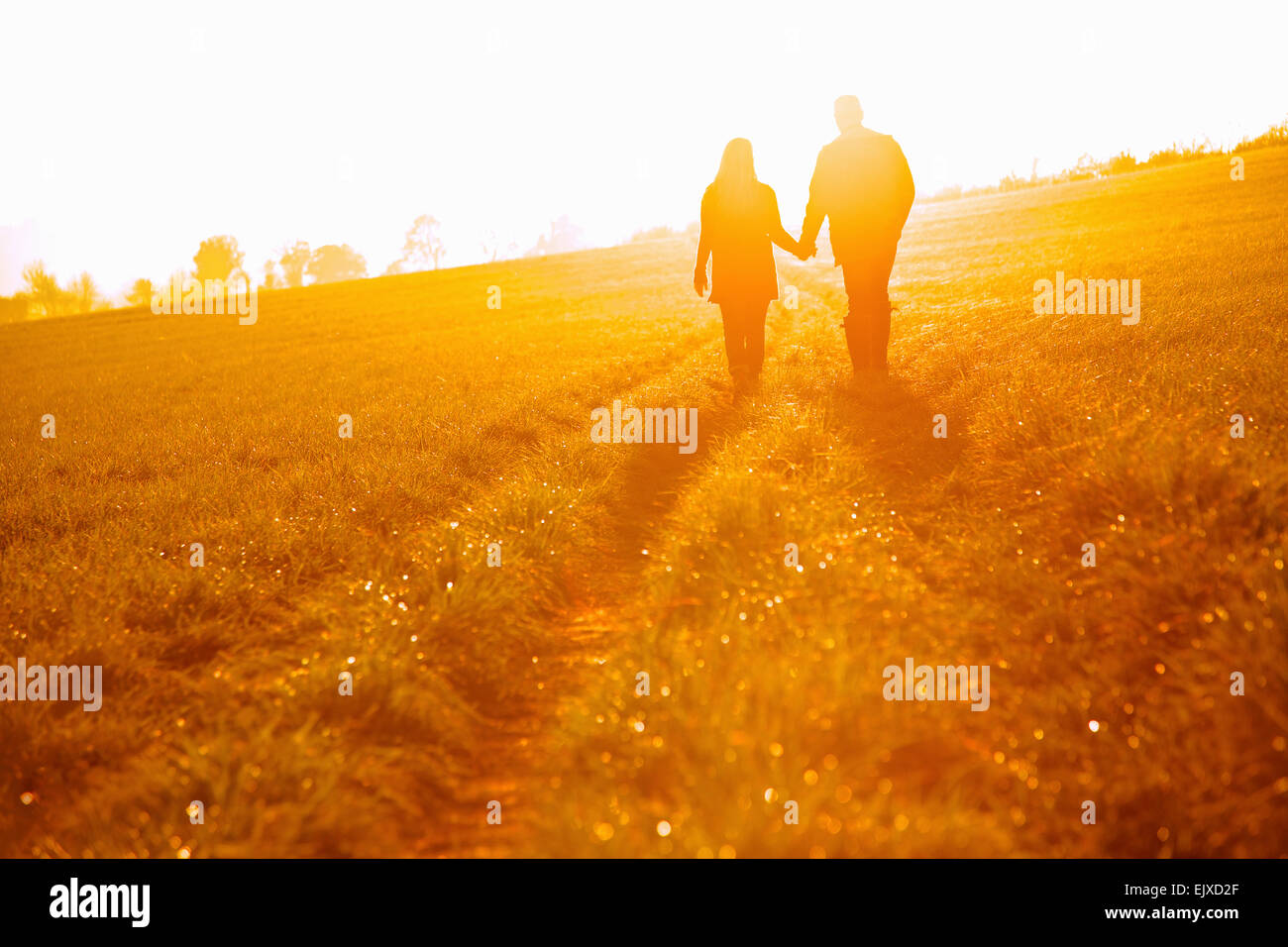 Man walking field behind hi-res stock photography and images - Alamy Man walking field behind hi-res stock photography and images - Alamy