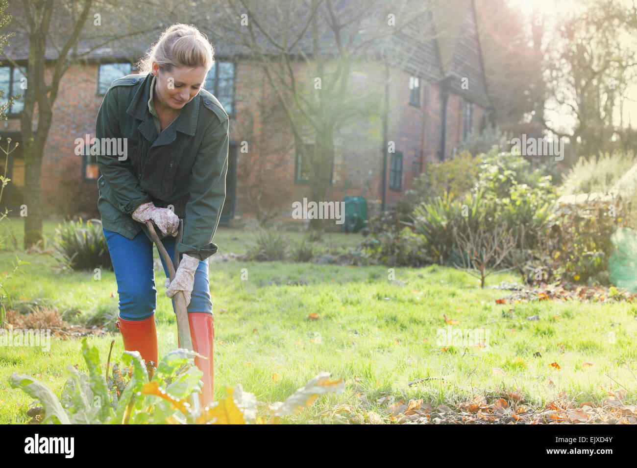 Woman Digging High Resolution Stock Photography and Images - Alamy