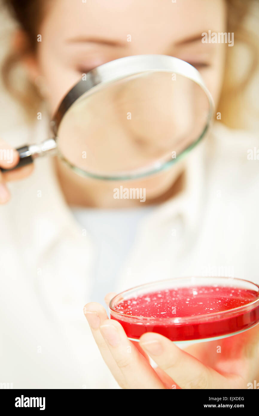 Magnifying apparatus hi-res stock photography and images - Alamy