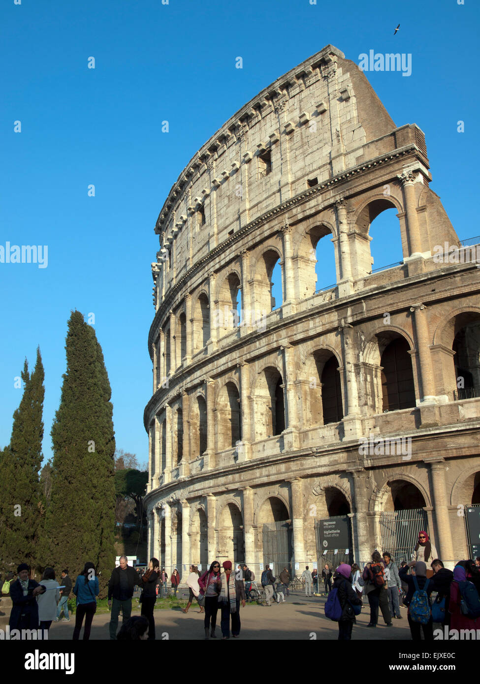 The Coliseum in Rome Stock Photo - Alamy