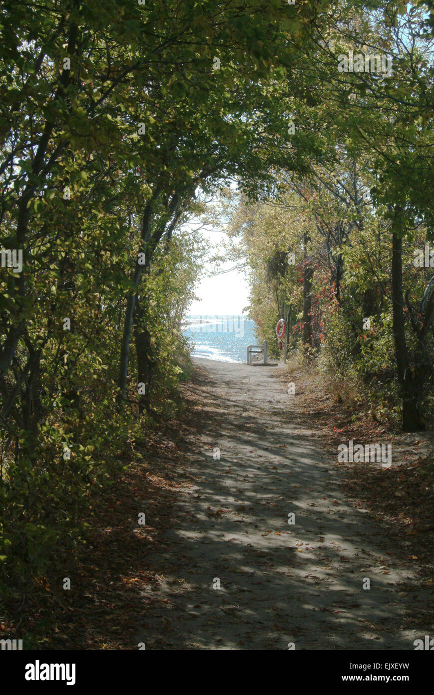 A path leading to Lake Erie with overhead branches and a bench at the ...