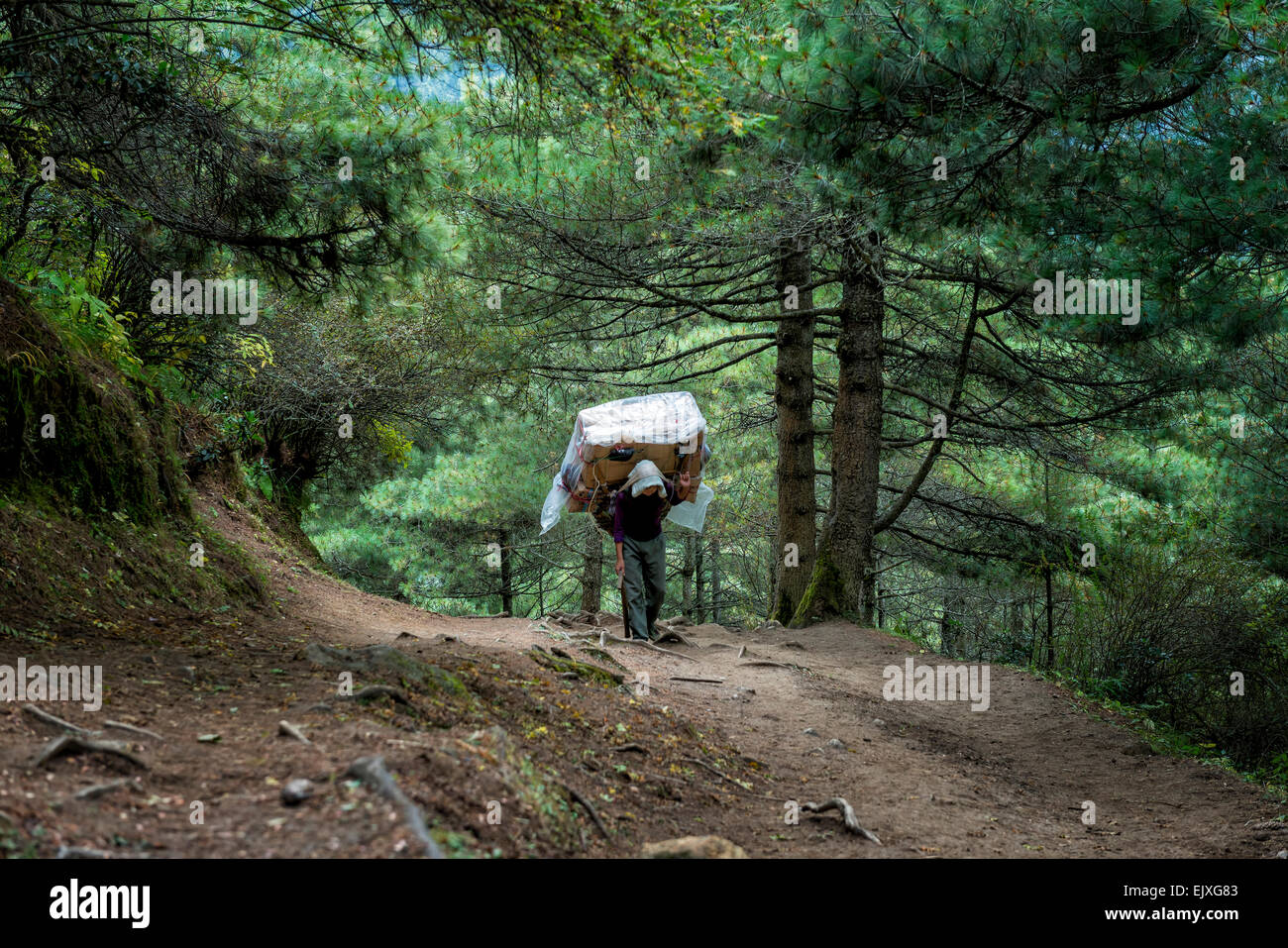 Nepal, Khumbu, Everest region, Namche Bazaar, Nepalese porter Stock ...