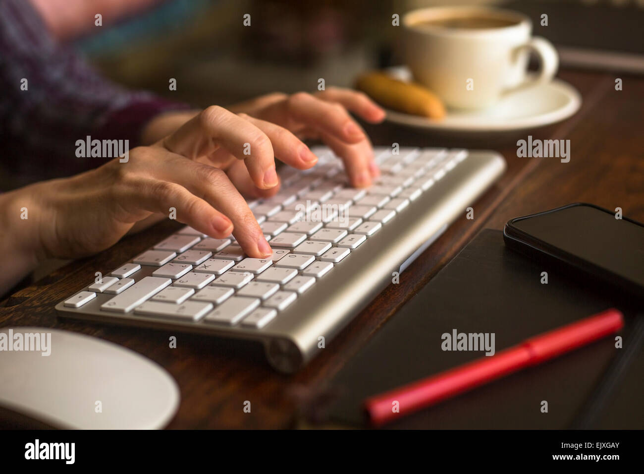 Female office worker typing on the computer keyboard Stock Photo - Alamy