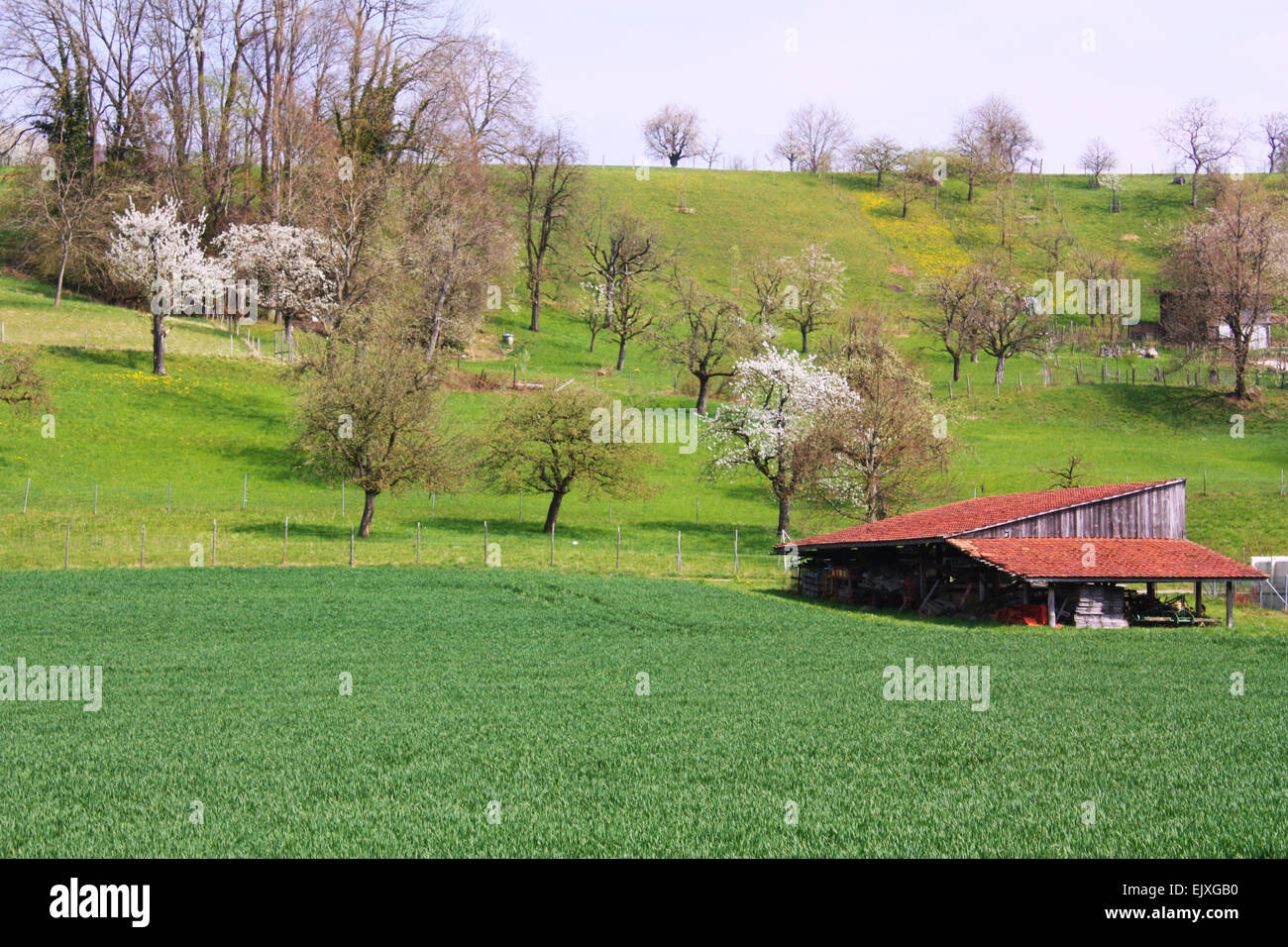 Barn on hill in Switzerland Stock Photo - Alamy