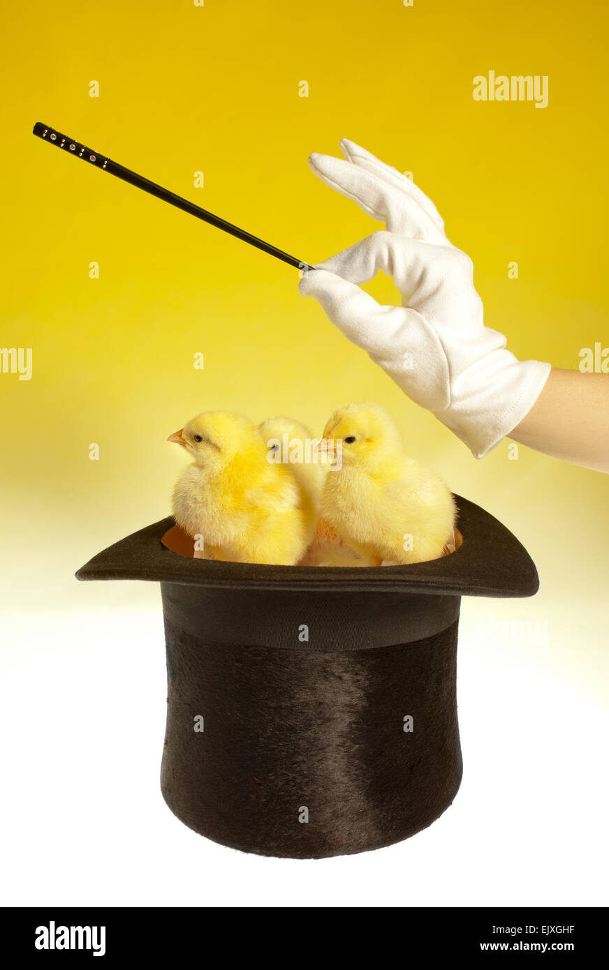 Trick magic hi-res stock photography and images - Alamy