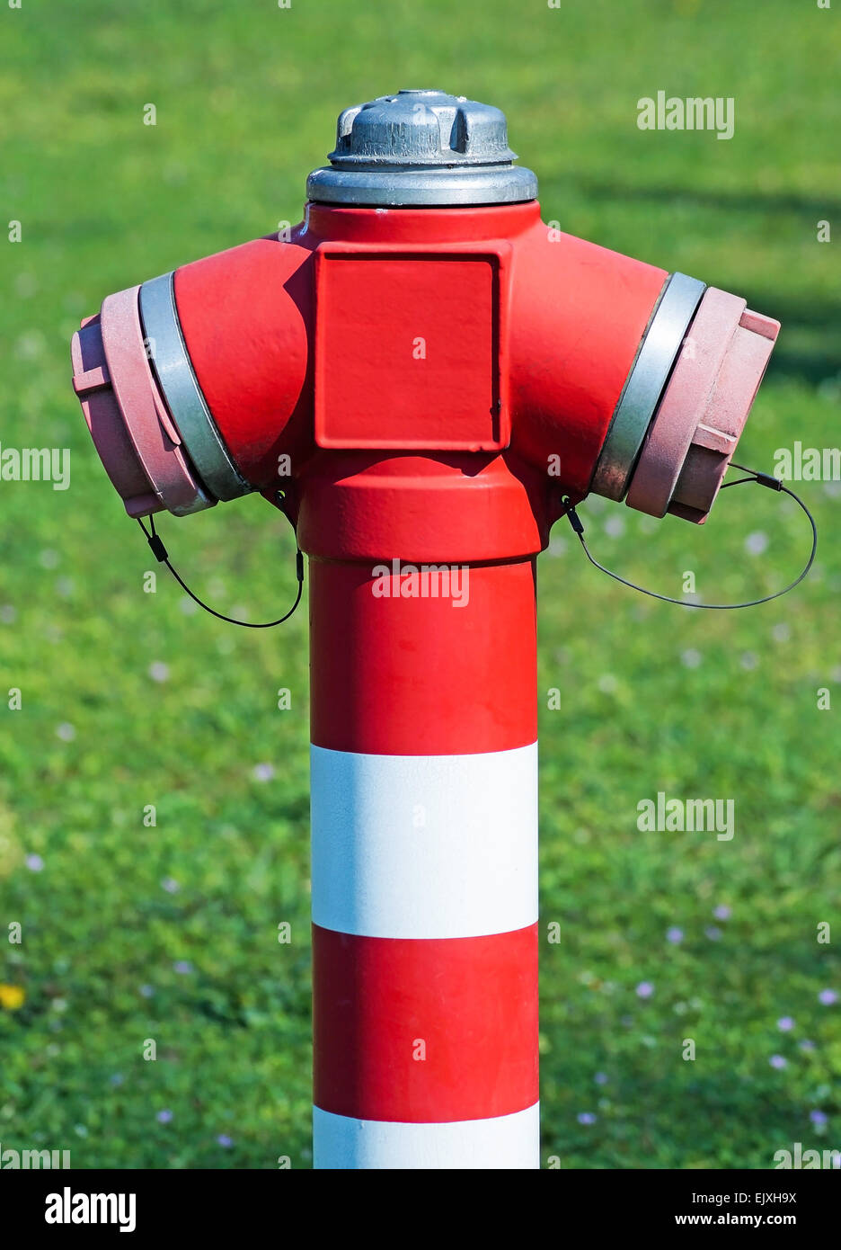 Fire hydrant in the park Stock Photo - Alamy