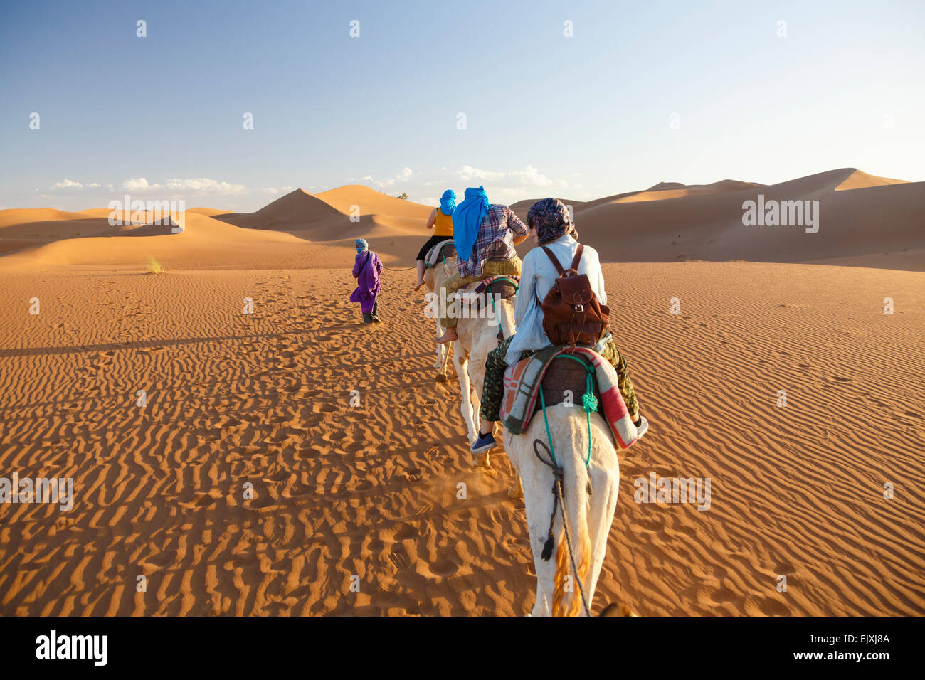Camel caravan on the sahara desert hi-res stock photography and images ...