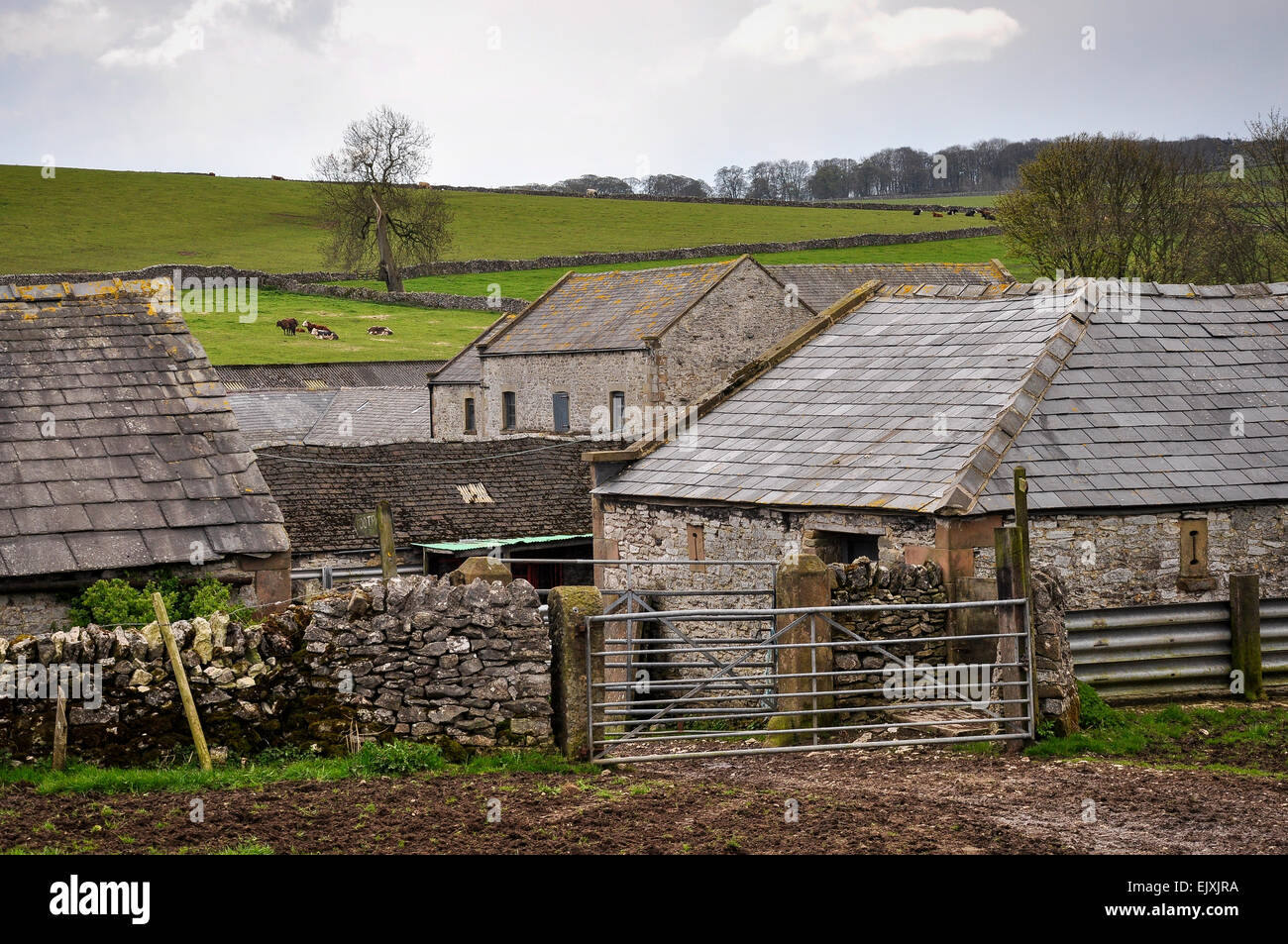 White Peak farm near the village of Over Haddon in the Peak District ...