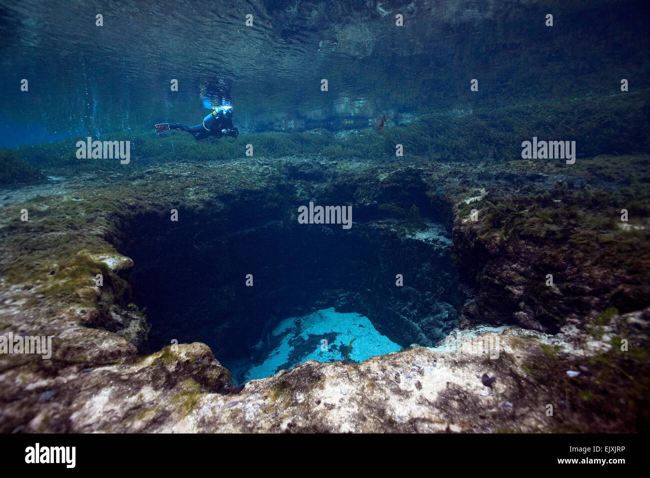 Santa fe river florida devil's eye cave hi-res stock photography and ...