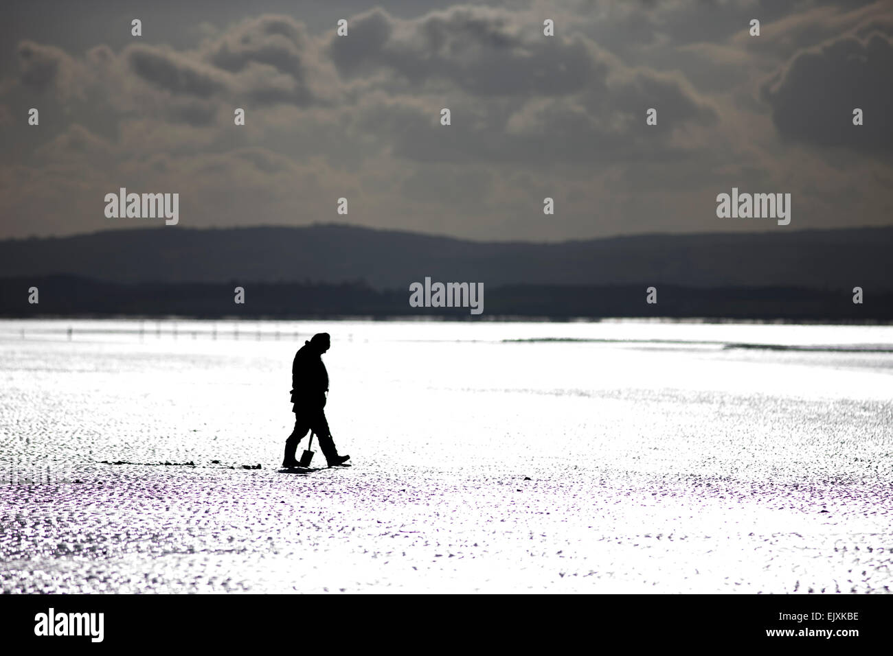 Beach comber at Berrow Stock Photo - Alamy