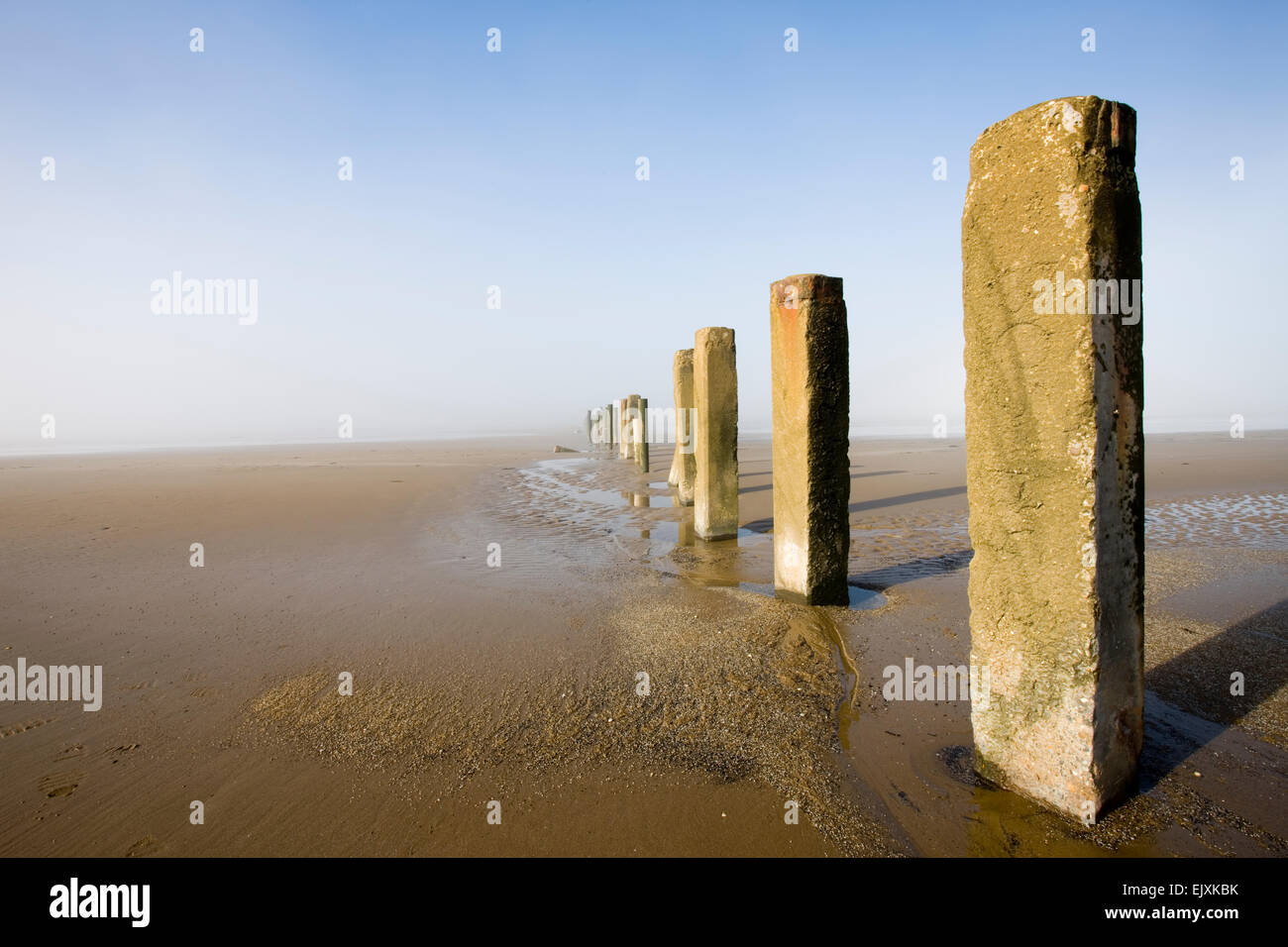 Pillars on Berrow Beach, Somerset Stock Photo - Alamy