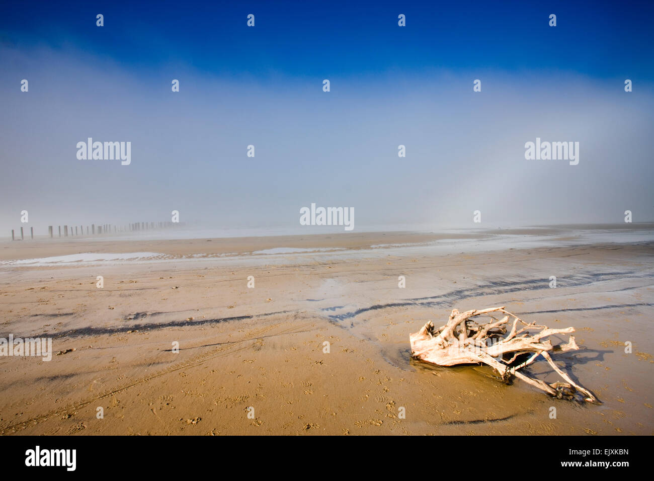 Clearing sea mist on Berrow Beach Stock Photo - Alamy