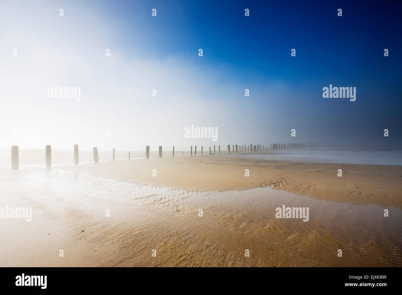 Mist at the beach hi-res stock photography and images - Alamy