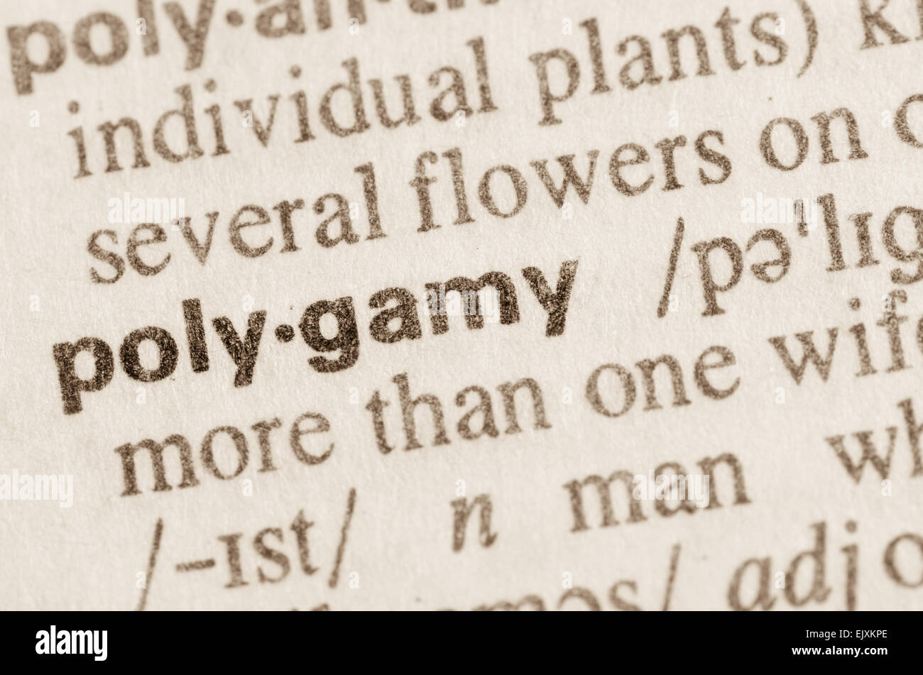 Polygamy hi-res stock photography and images - Alamy
