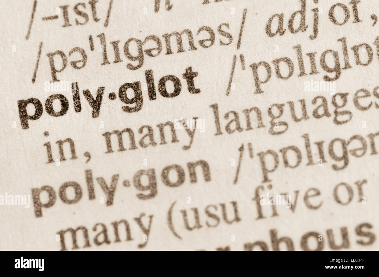 Definition of word polyglot in dictionary Stock Photo - Alamy