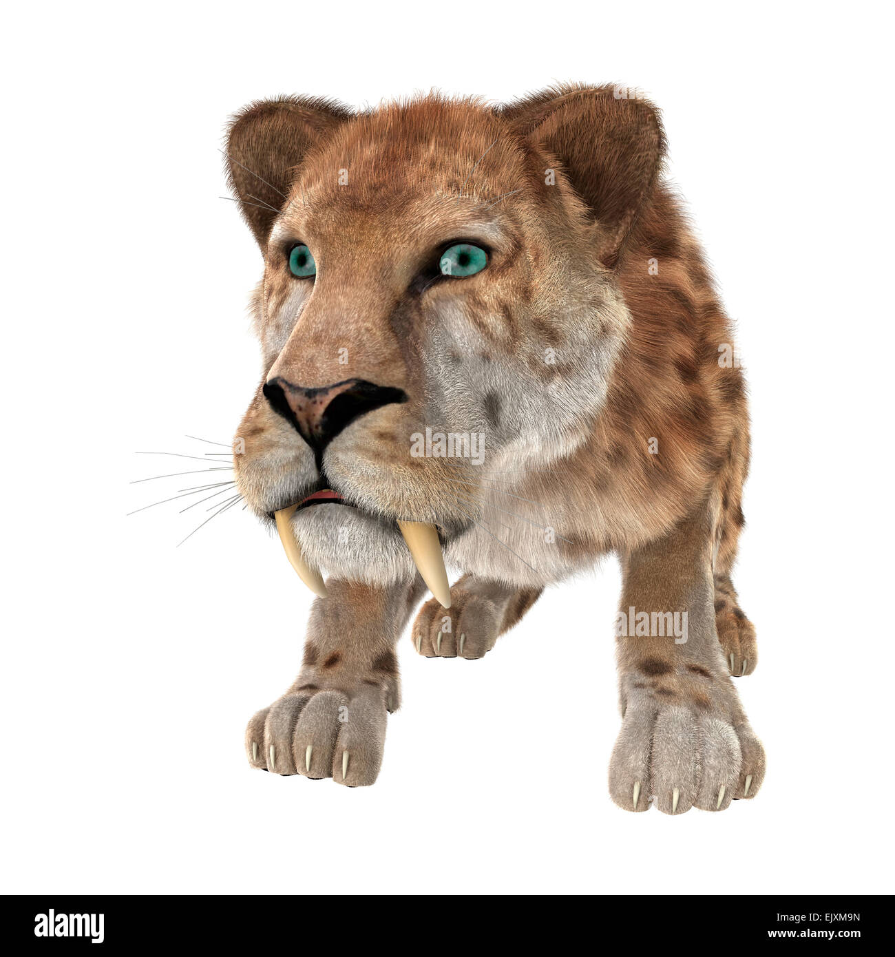 Smilodon Vs Troglodyte