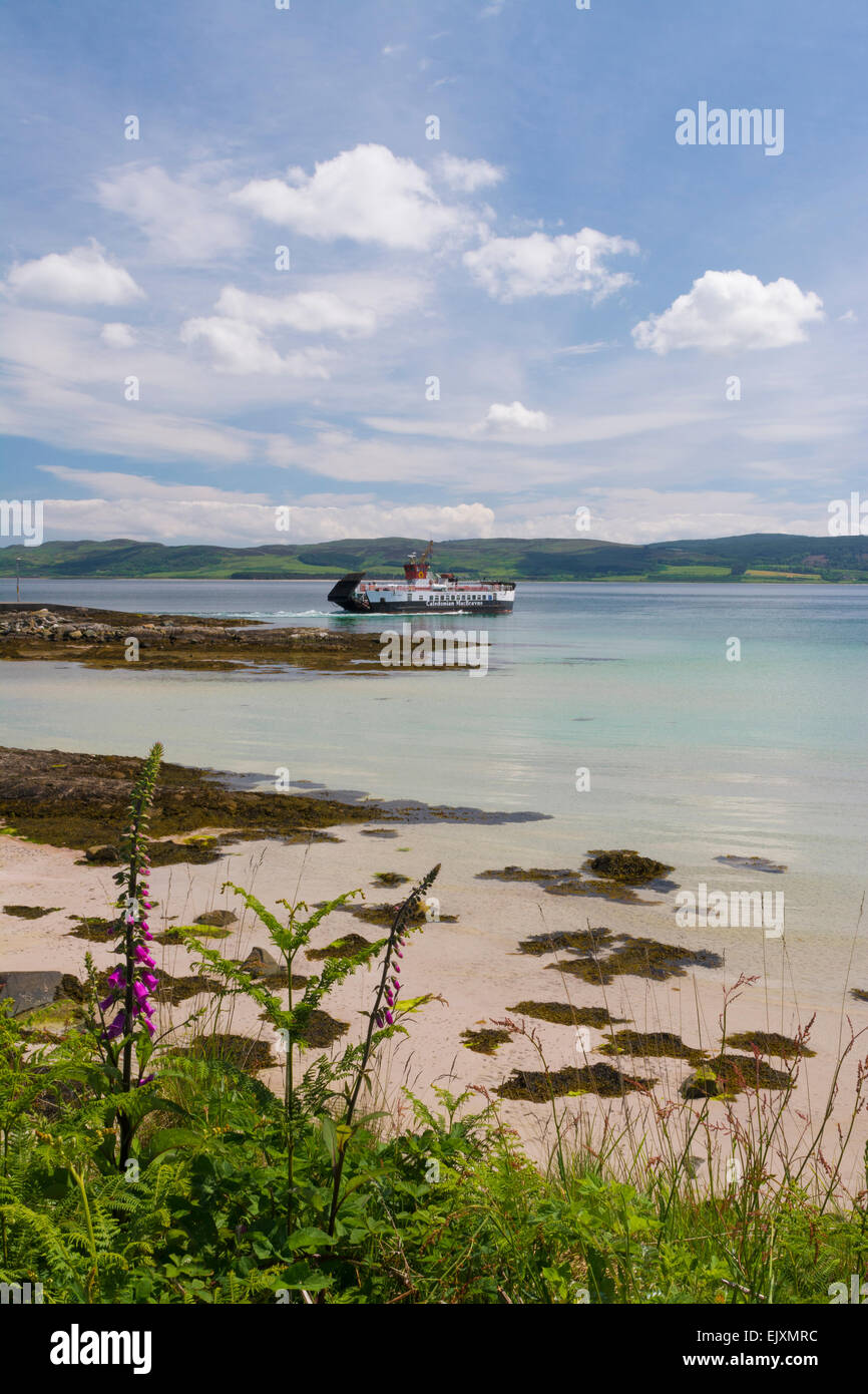 calmac tayinloan ferry approaches isle of gigha Stock Photo - Alamy