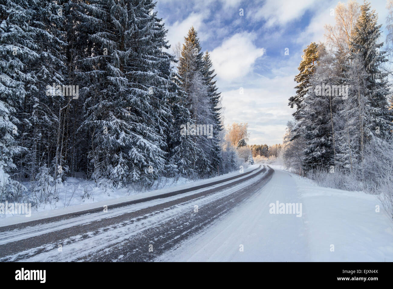 Road through the forest Stock Photo - Alamy