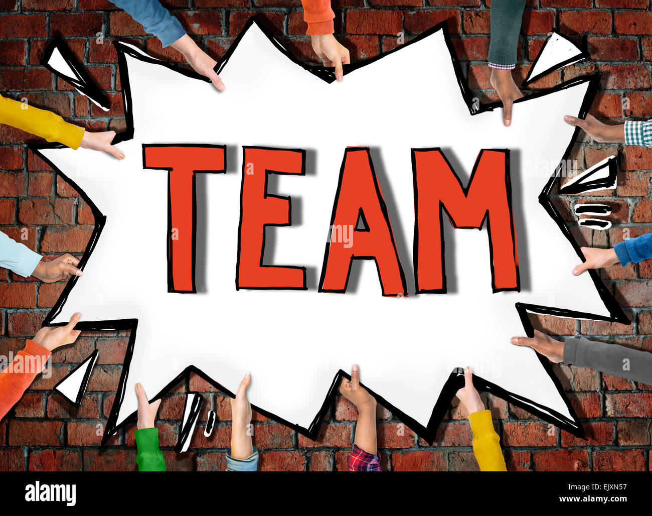 Diverse Hands Holding the Word Team Stock Photo - Alamy