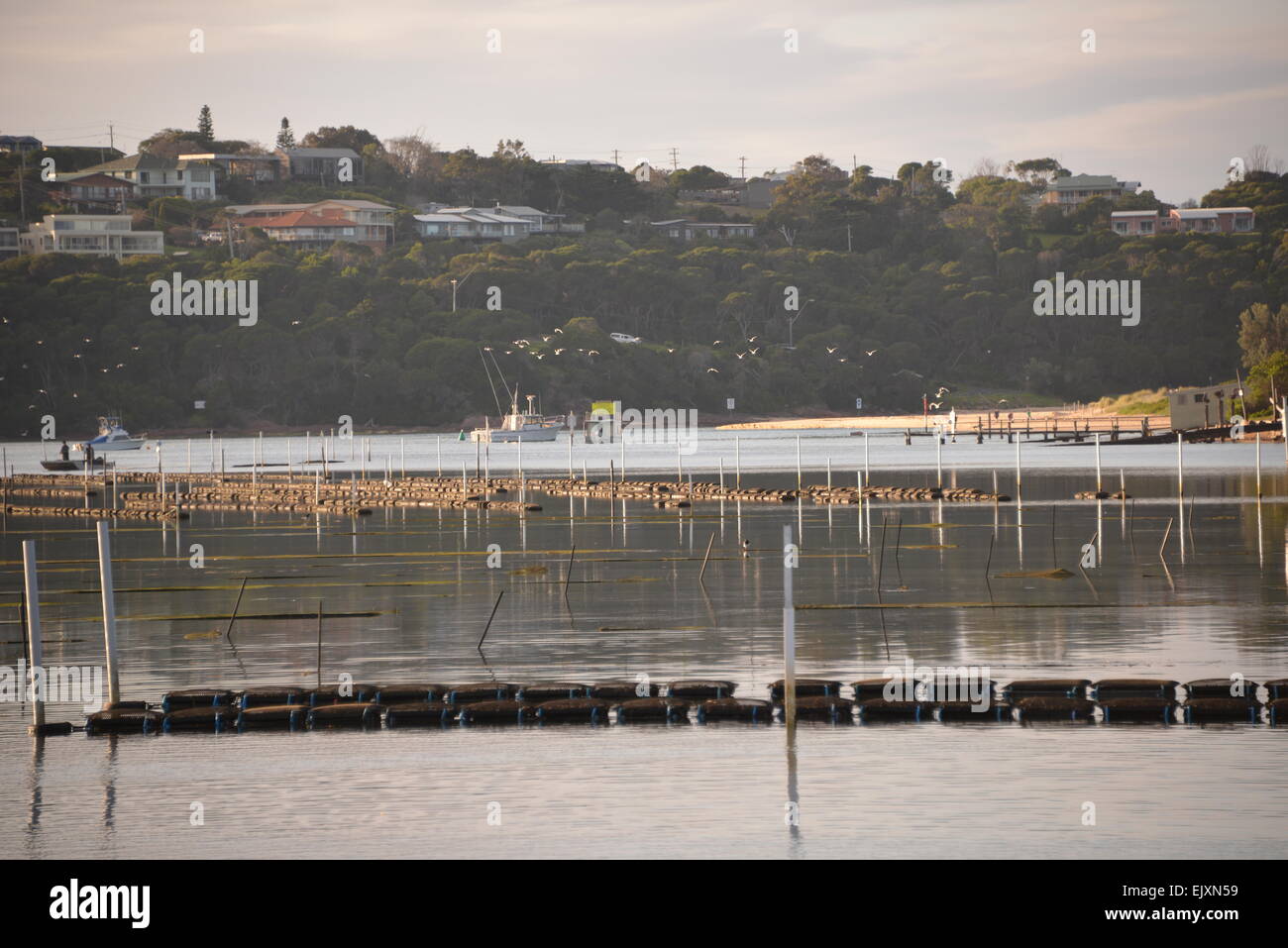 Merimbula Lake nsw coastal sapphire coast retirement town on the coast ...