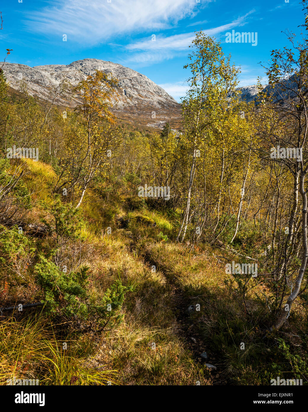 Stalheim Valley Stock Photos & Stalheim Valley Stock Images - Alamy