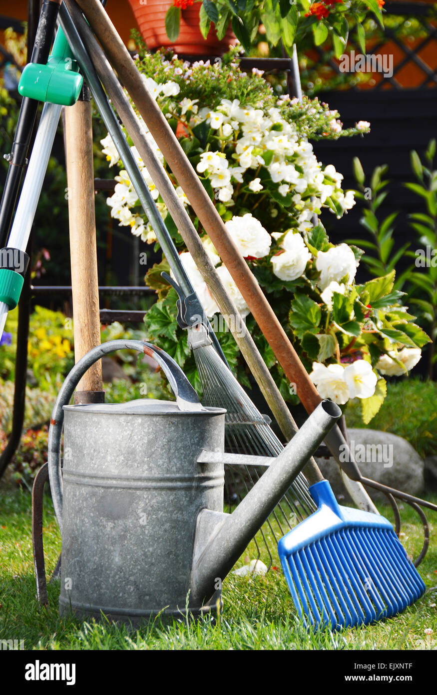 Watering can and tools in the garden Stock Photo - Alamy