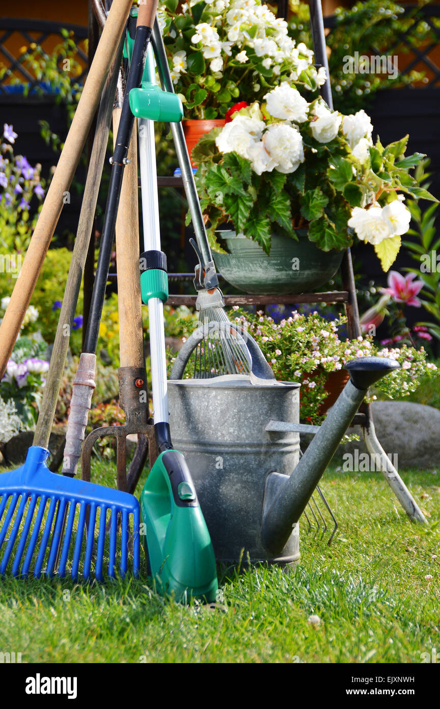 Botany tool hi-res stock photography and images - Alamy
