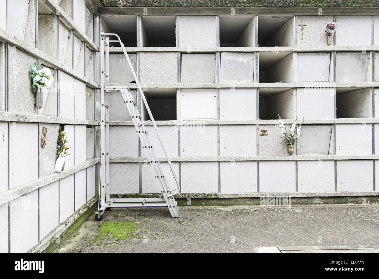 Empty graves in a cemetery hi-res stock photography and images - Alamy