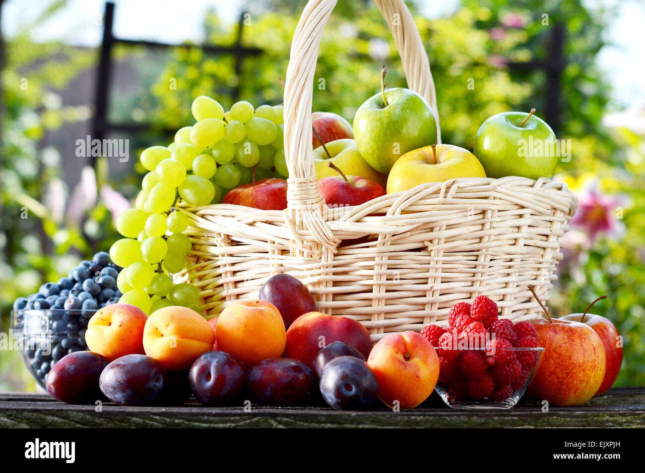 Fresh ripe organic fruits in the garden. Balanced diet Stock Photo - Alamy