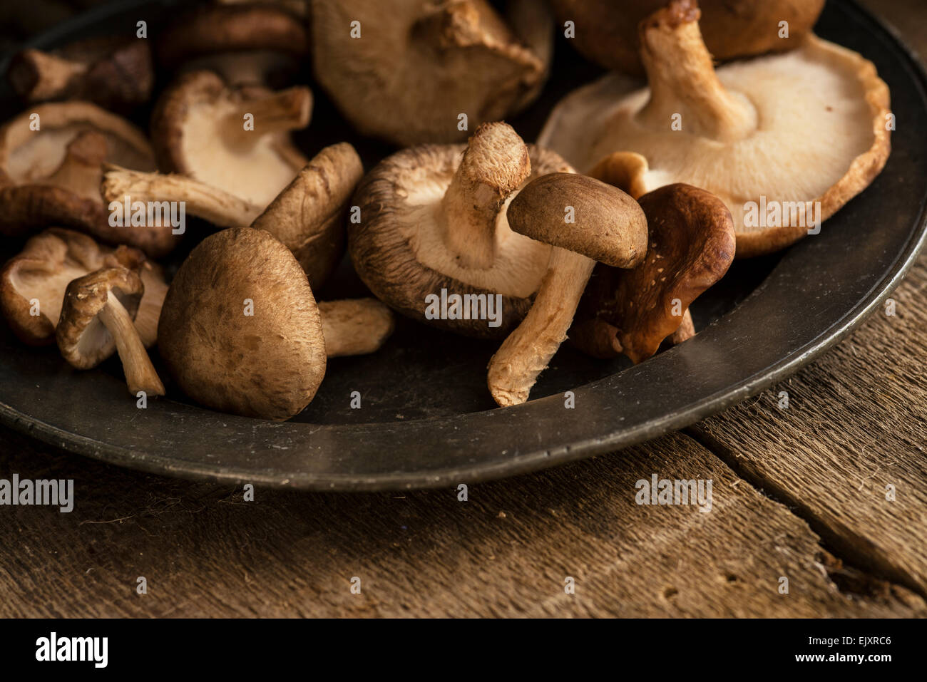 Fresh shiitake mushrooms in moody natural light setting with vintage ...