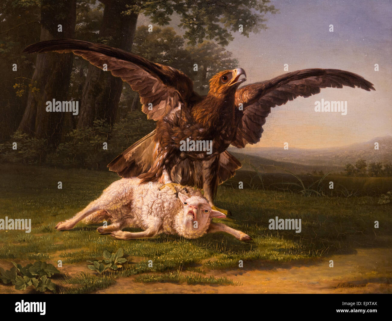 ActiveMuseum 0006022.jpg / An eagle trying to kidnap a sheep 05/12/2013 ...