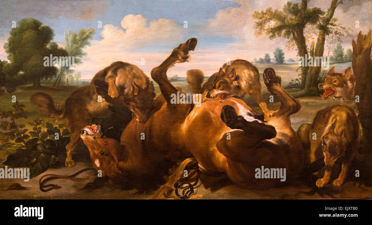 Wolf attacked hi-res stock photography and images - Alamy